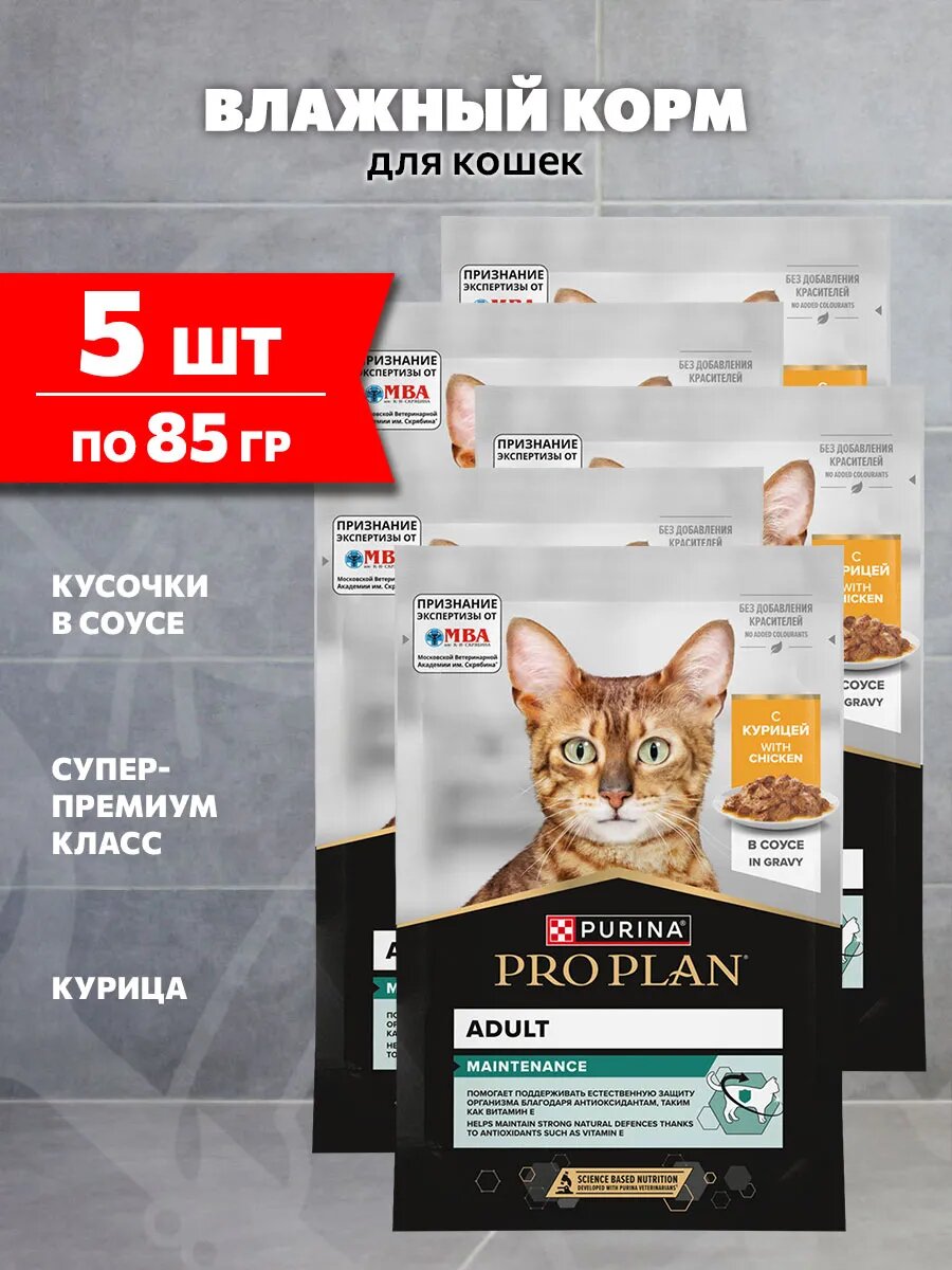 Корм влажный Pro Plan Maintenance для взрослых кошек, курица в соусе, 85 г 5 шт