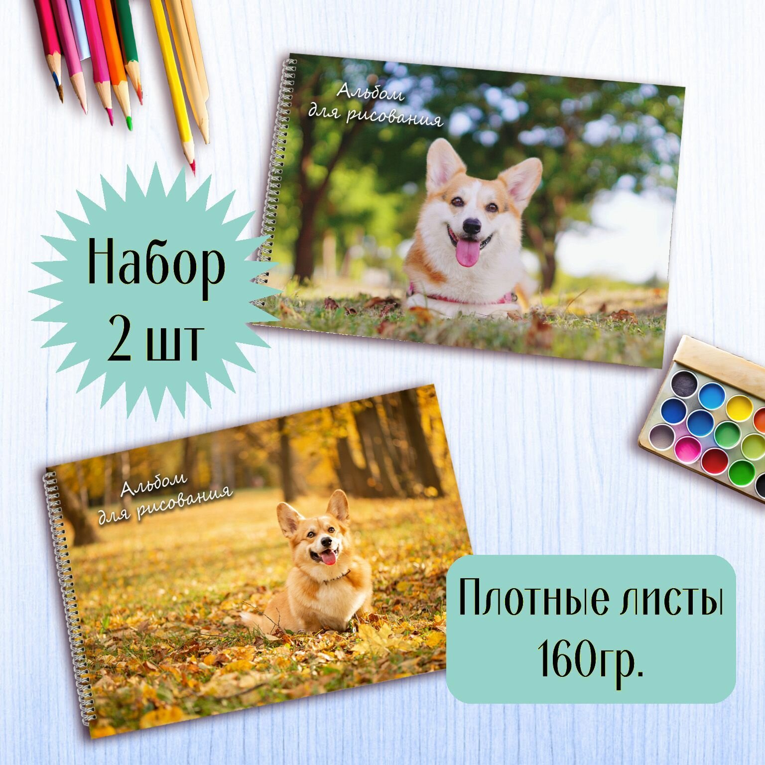 Альбомы для рисования Корги