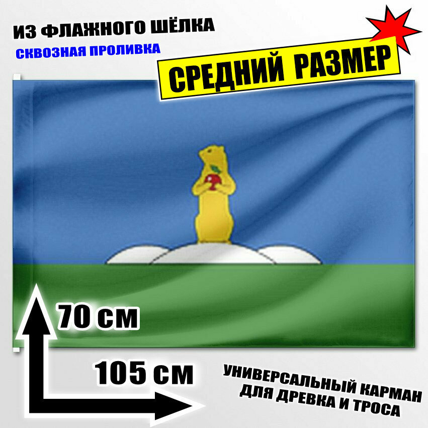Флаг средний Тушнинского сельского поселения 105x70 см