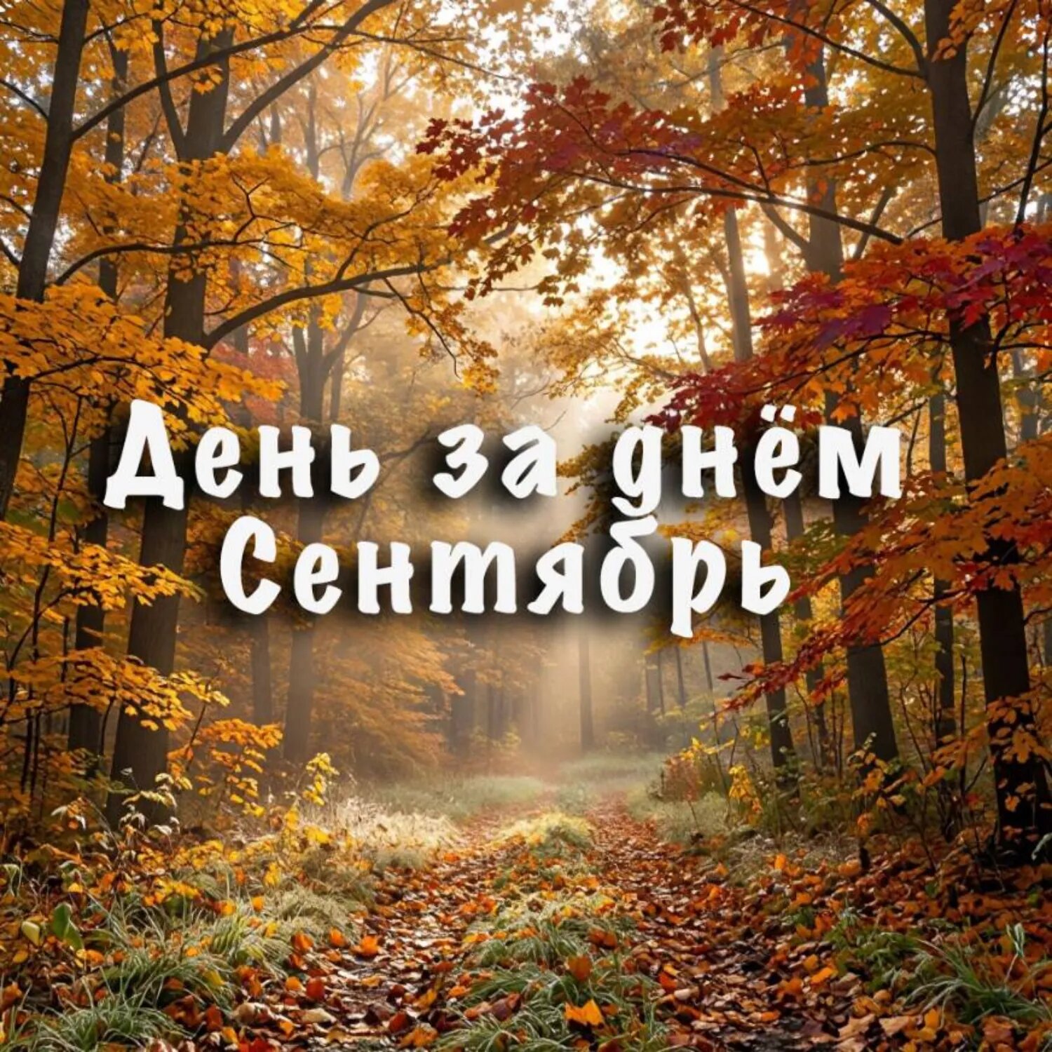 День за днем. Сентябрь [Аудиокнига]