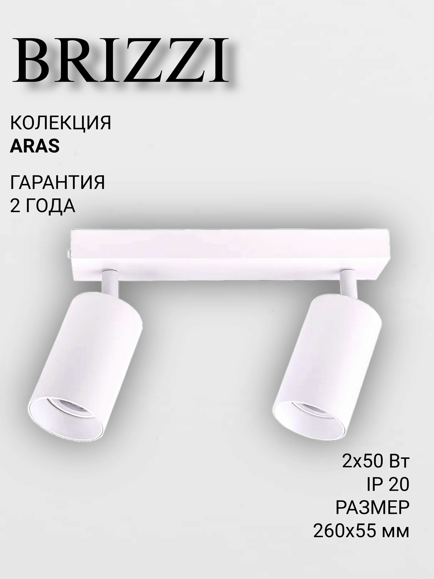 Потолочный светильник-спот BRIZZI ARAS BR08083