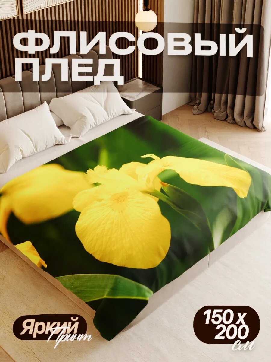 Плед флисовый 150х200 см мягкий теплый покрывало для дома