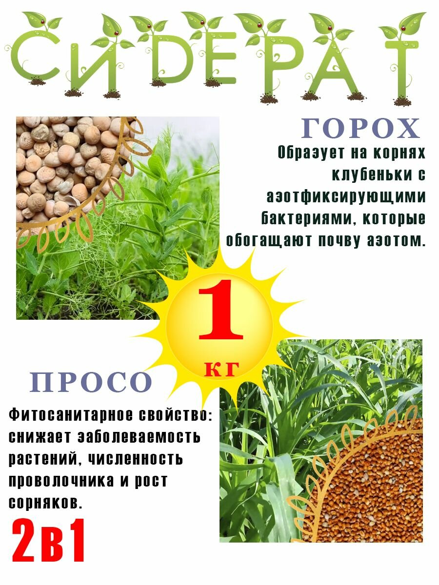 Сидерат Горох Просо 1кг