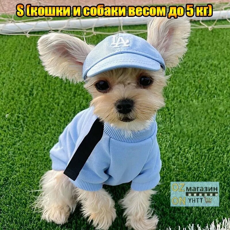Одежда для животных S (кошки и собаки весом до 5 кг)