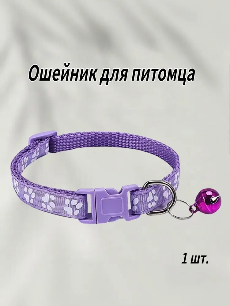 Ошейник