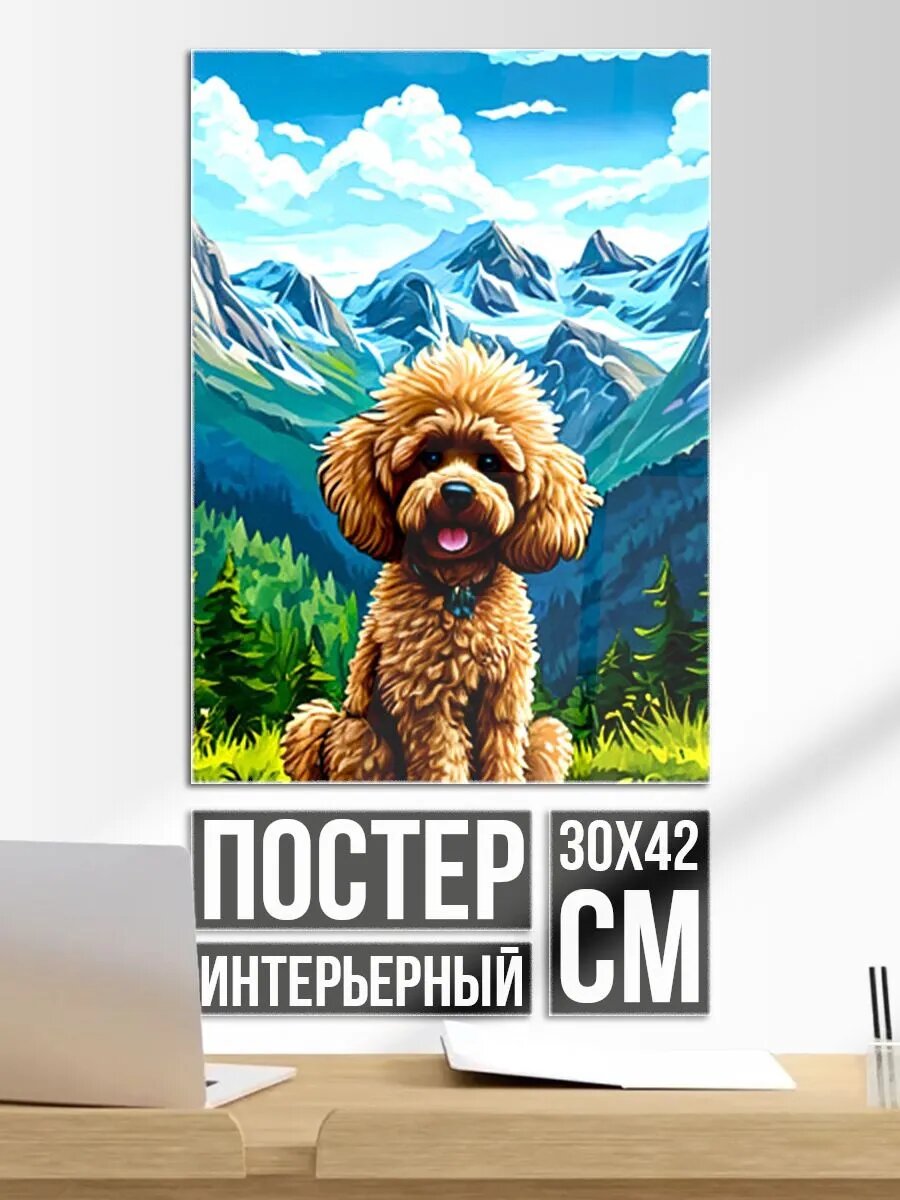 Постер на стену Пудель в летних горах