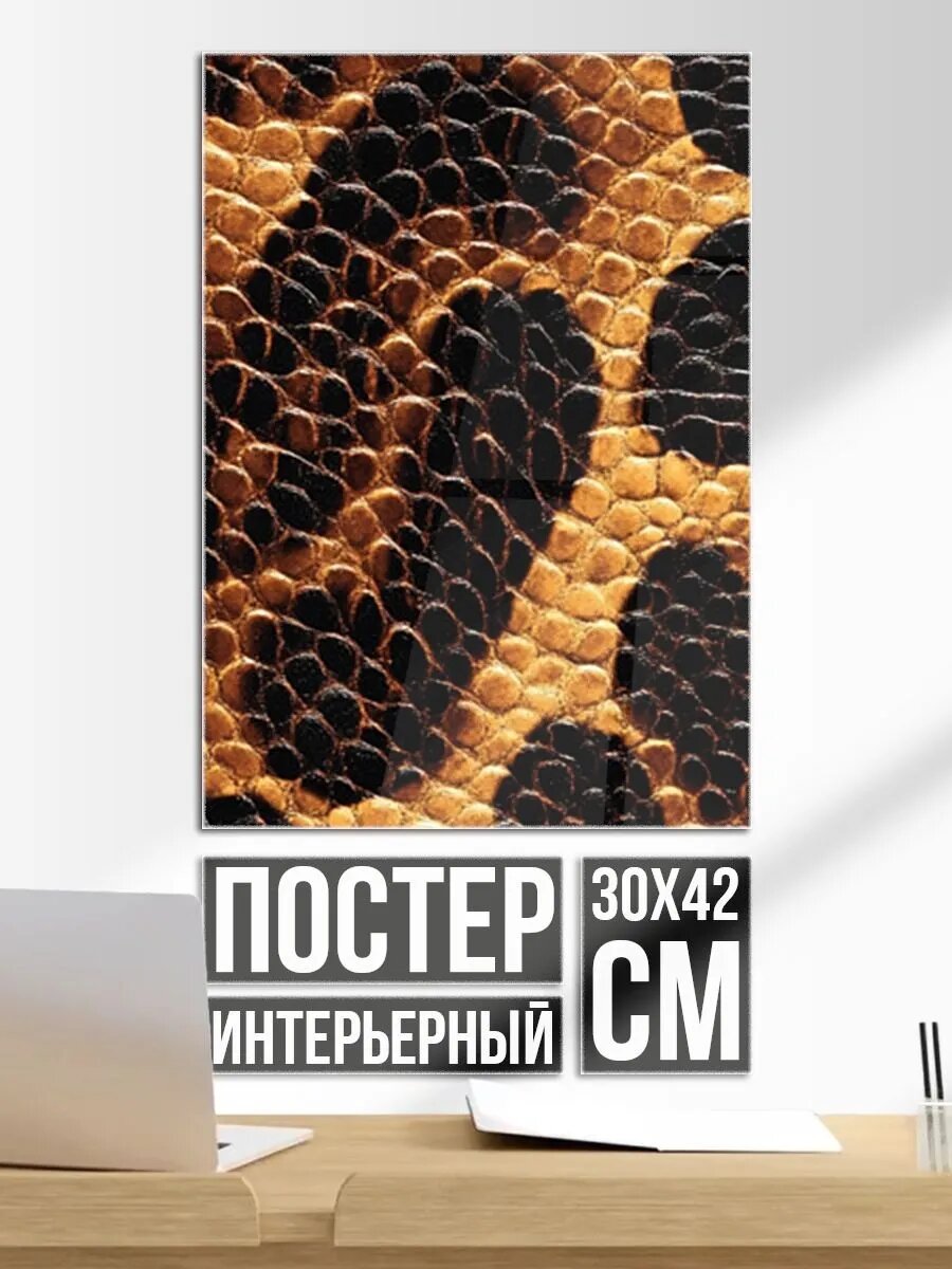 Постер на стену Кожа змеи текстура