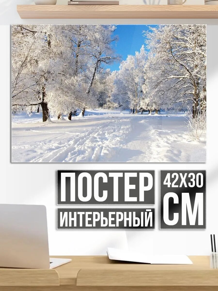 Плакат постер Зимний лес