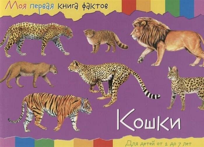 Моя первая книга фактов. Кошки, ND Play