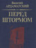 Перед штормом