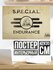Плакат постер Fallout S.P.E.C.I.A.L.