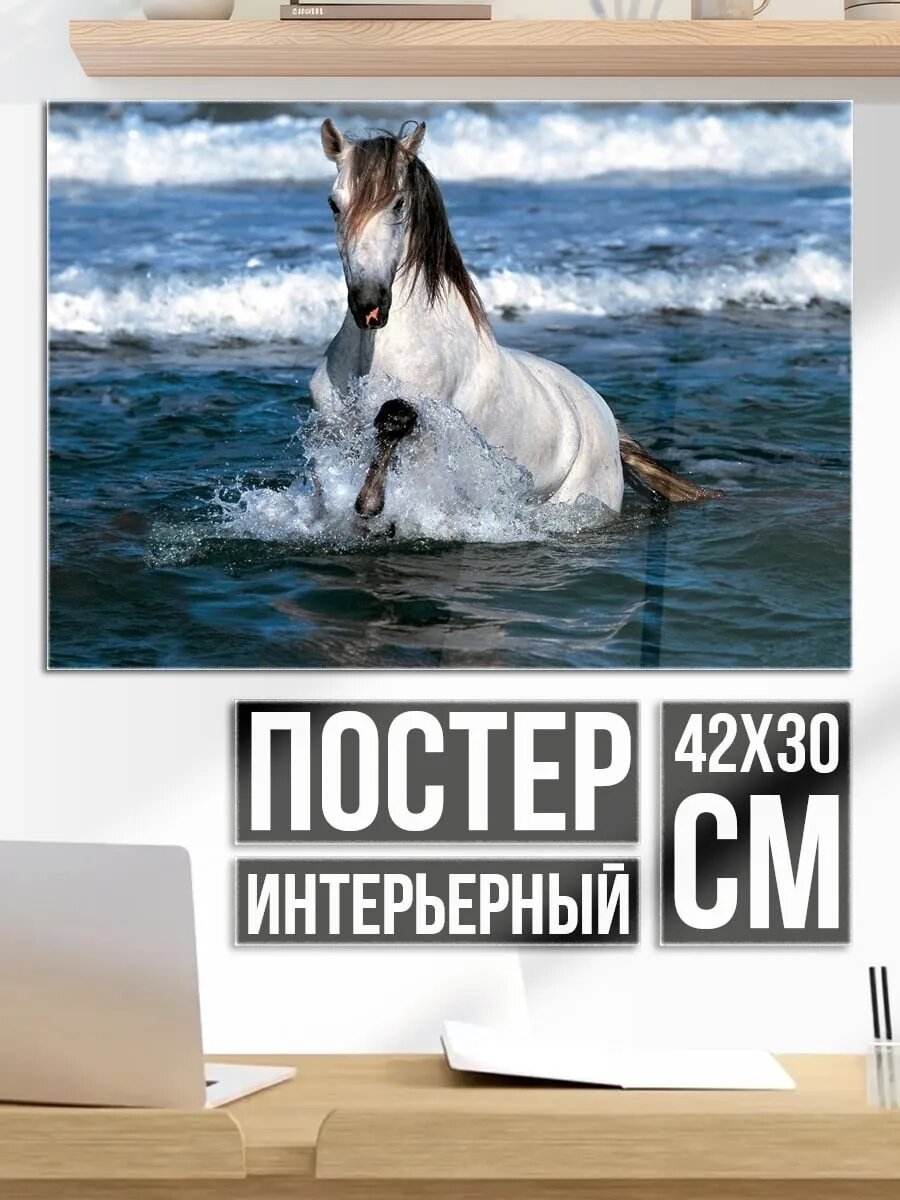 Плакат постер Конь в волнах