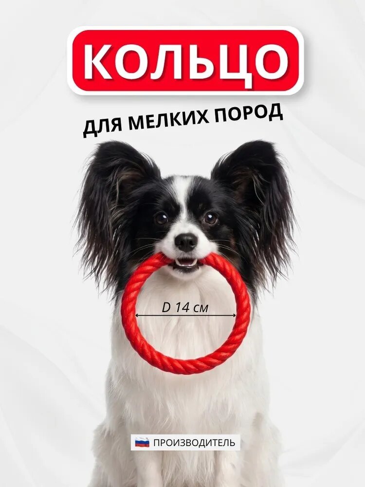 Игрушка для собак мелких пород сибирский ПЁС кольцо красное 140мм