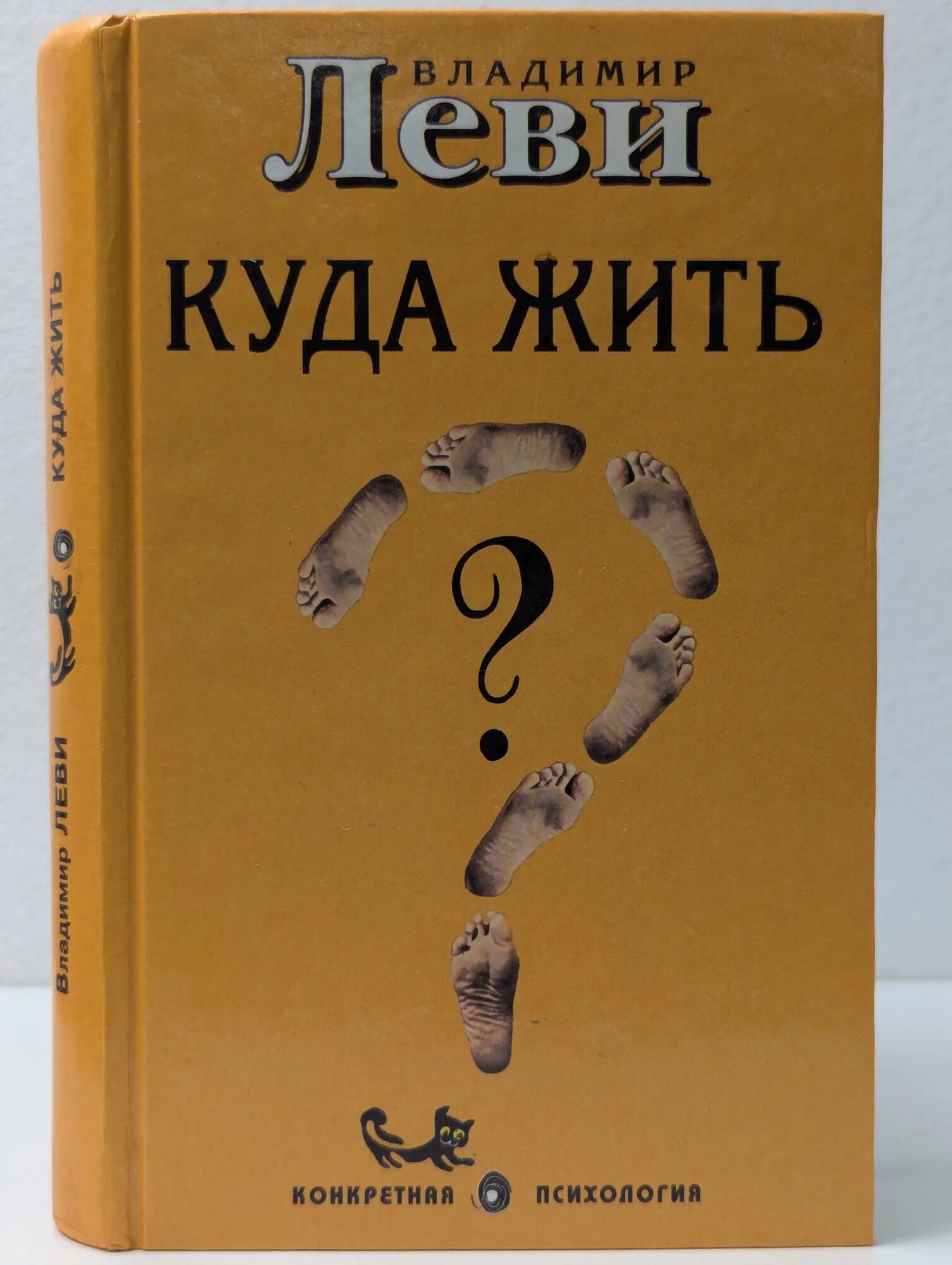 Конкретная психология. Куда жить? Леви Владимир Львович 2004