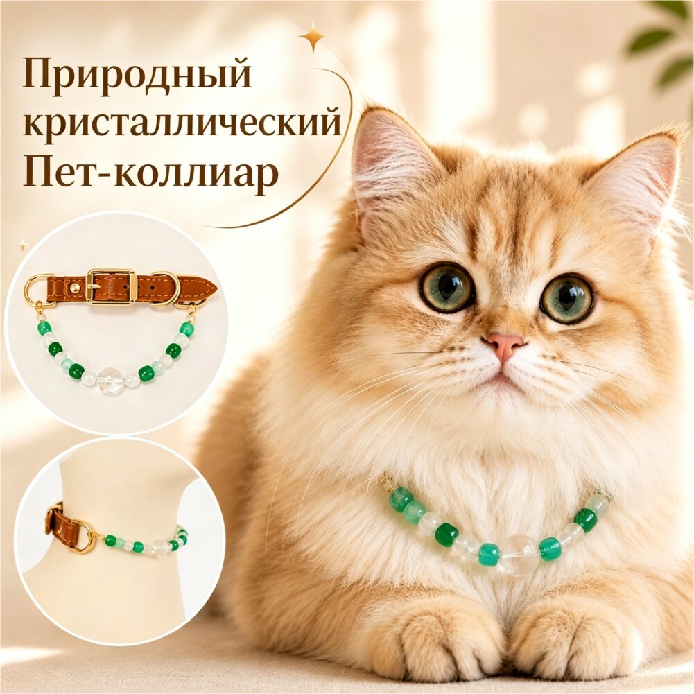 Ожерелье-ошейник для кошек и собак из натурального кристалла и кожи, в черной подарочной коробке