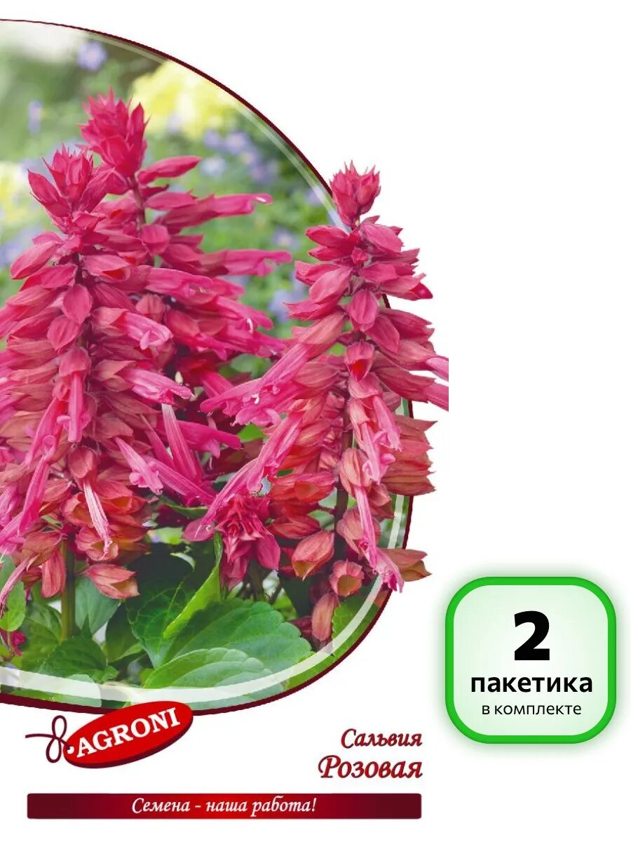 (2 шт.) - Семена Сальвия розовая (0,1г)