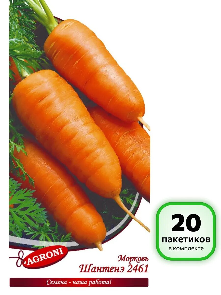 (20 шт.) - Семена Морковь Шантенэ 2461 (2,0г)