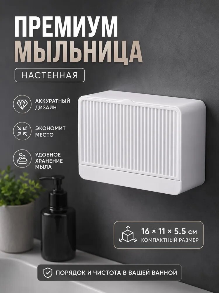 Мыльница