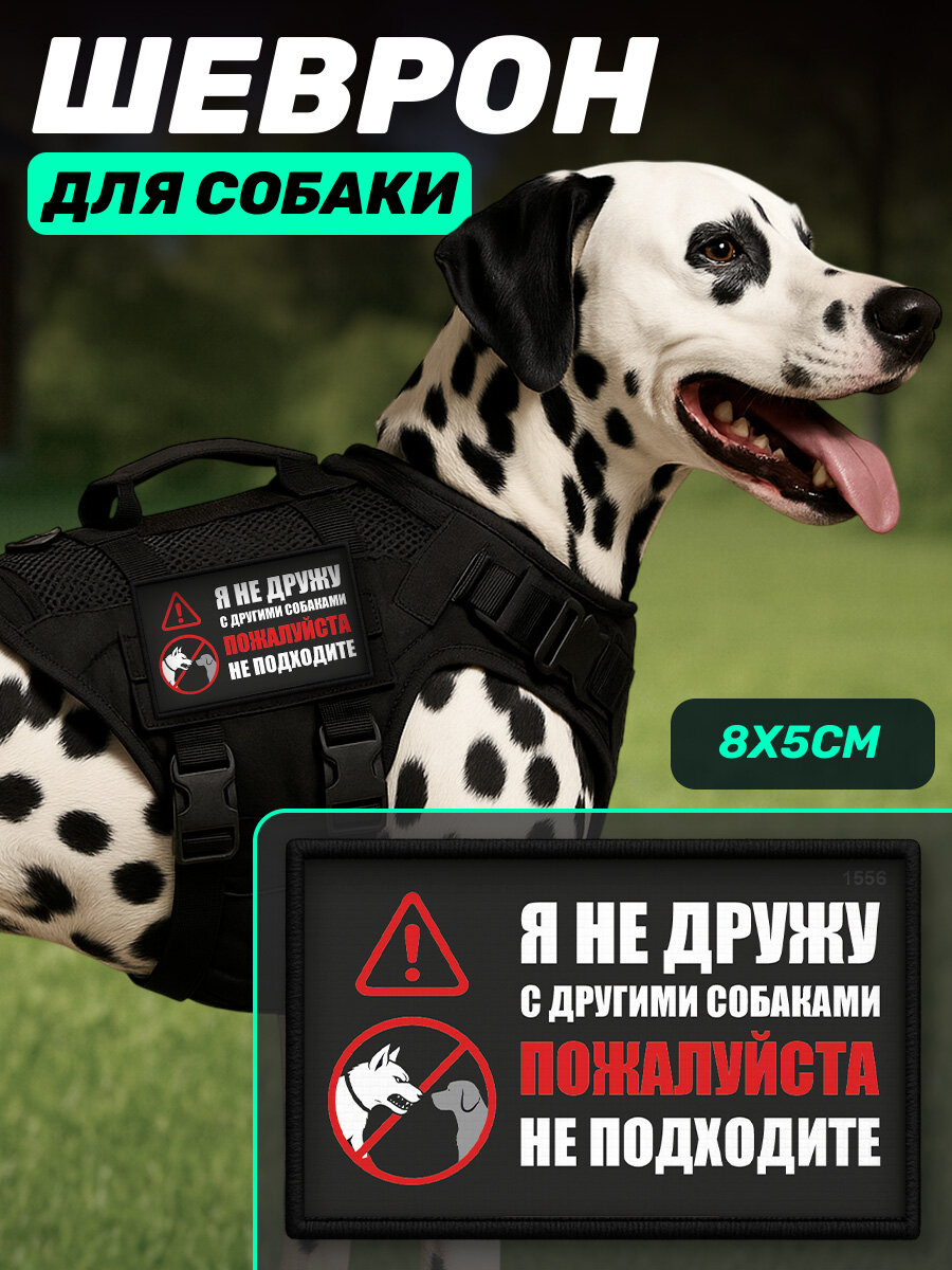 Шеврон на липучке для собак пожалуйста не подходите