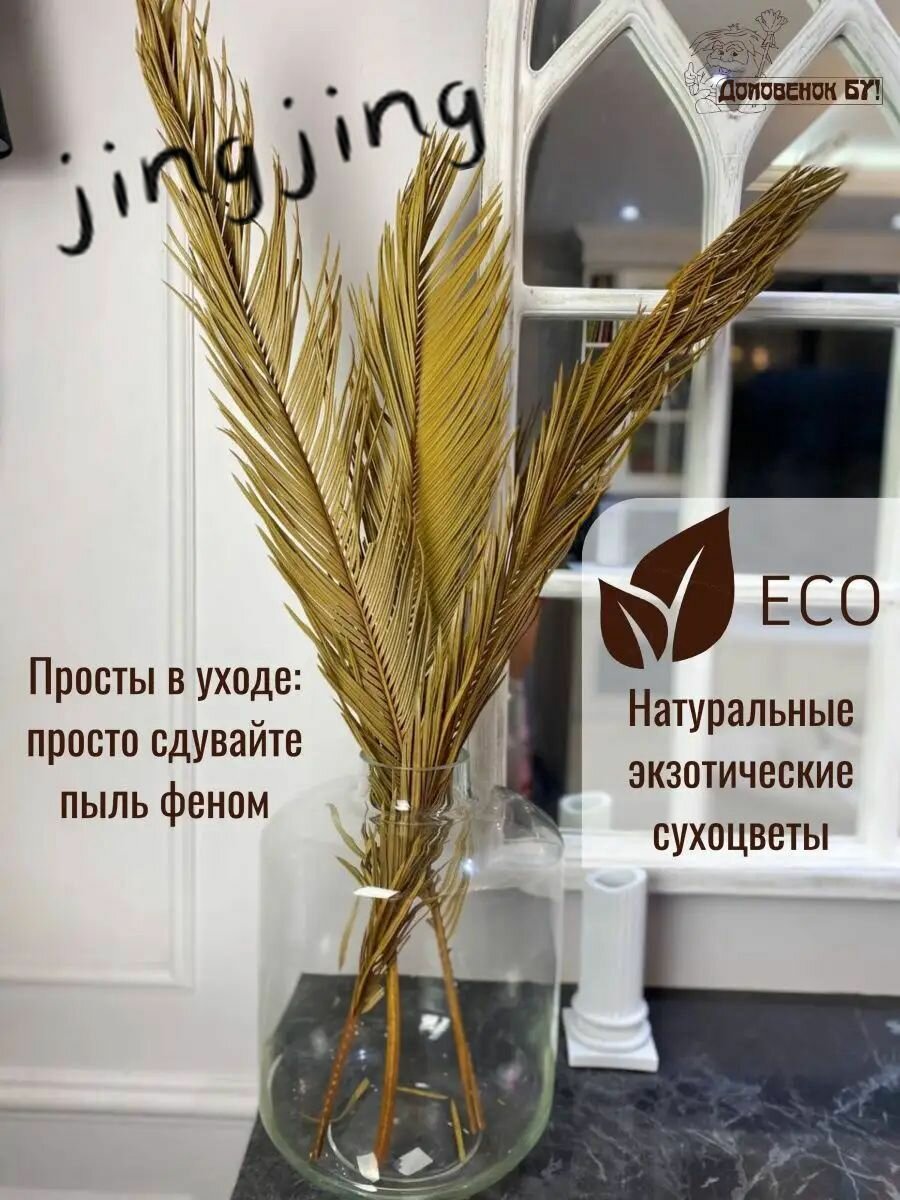 Сухоцветы Пальмовые листья, 50 см, 300 гр, 3 шт