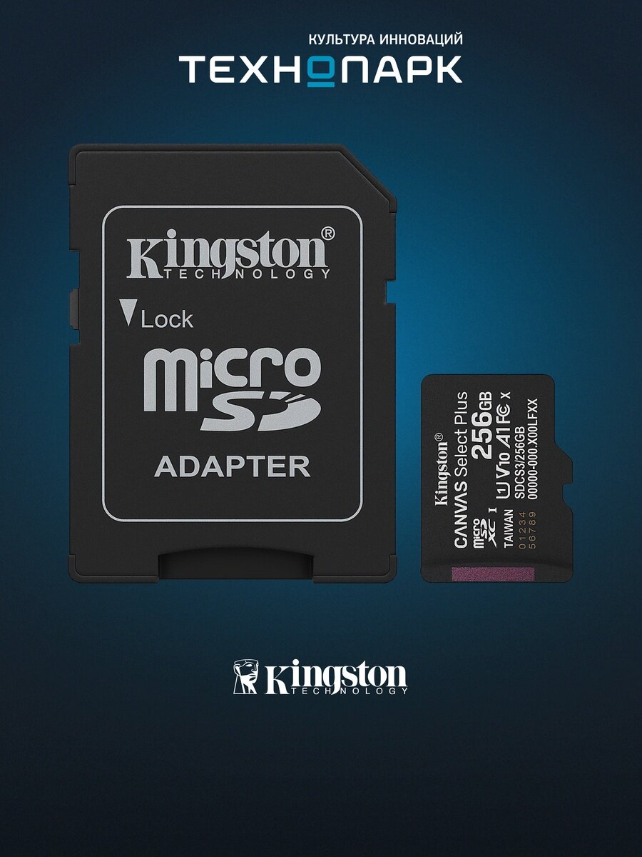 Карта памяти Kingston Canvas Select Plus microSDXC 256GB Gen3 (SDCS3/256GB)