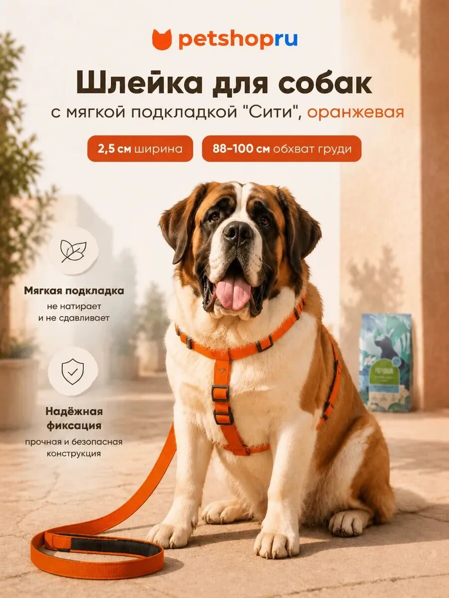 Yami Yami амуниция Шлейка Сити с мягкой подкладкой XL оранжевая 25мм, ОШ 84-90см, ОГ 88-100 см
