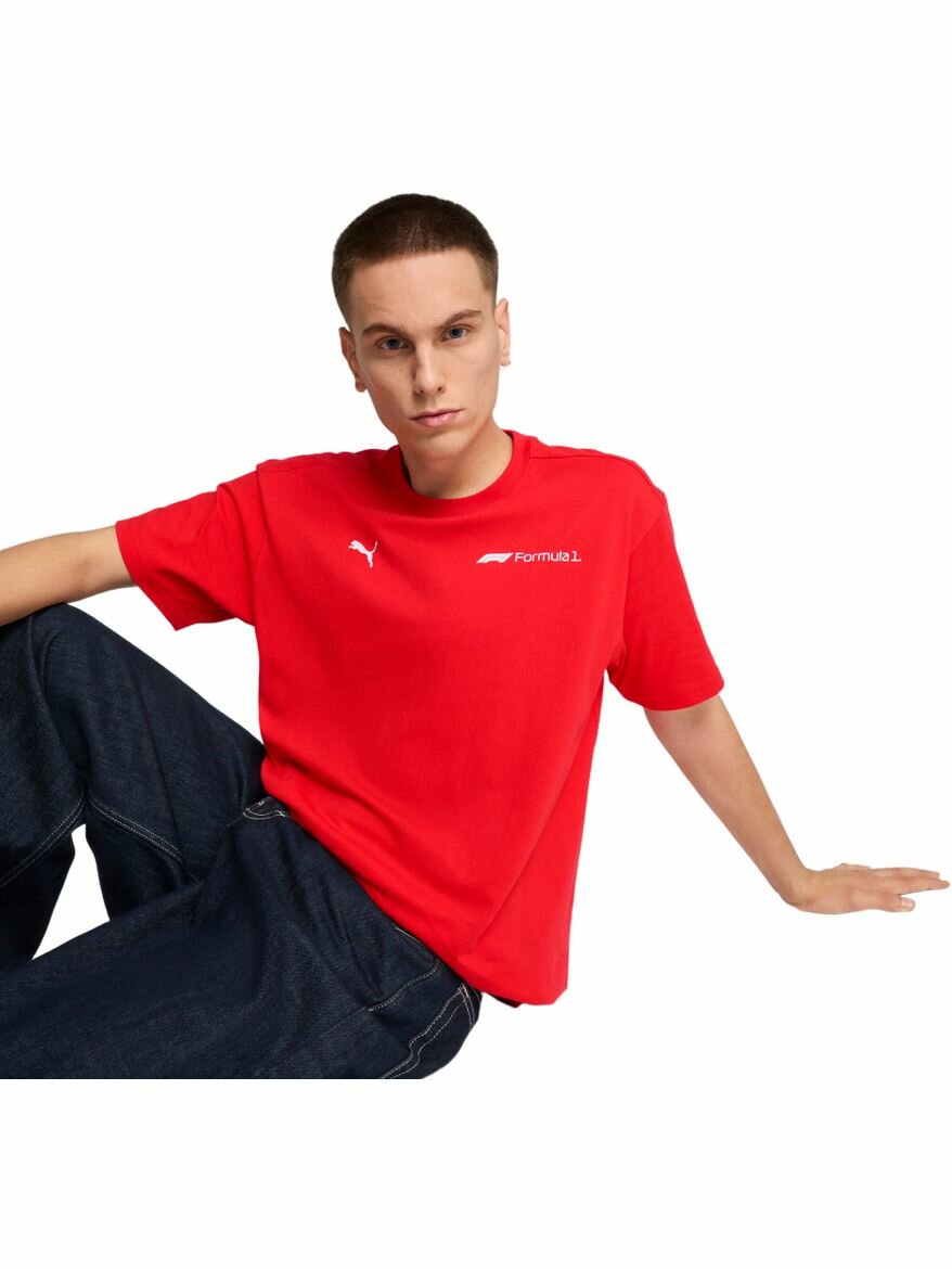Футболка спортивная F1 ESS+ Graphic Tee -relaxed