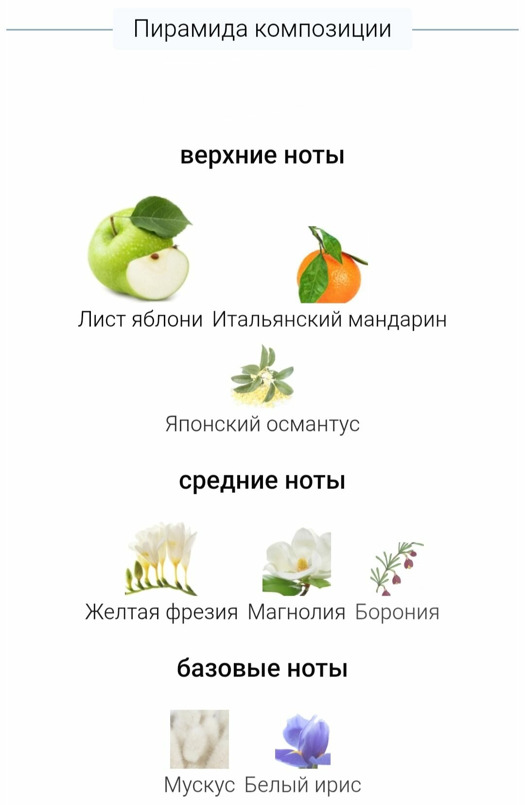 Духи ручной работы по мотивам 'Ralph', для женщин Lu Parfume. — фото 1