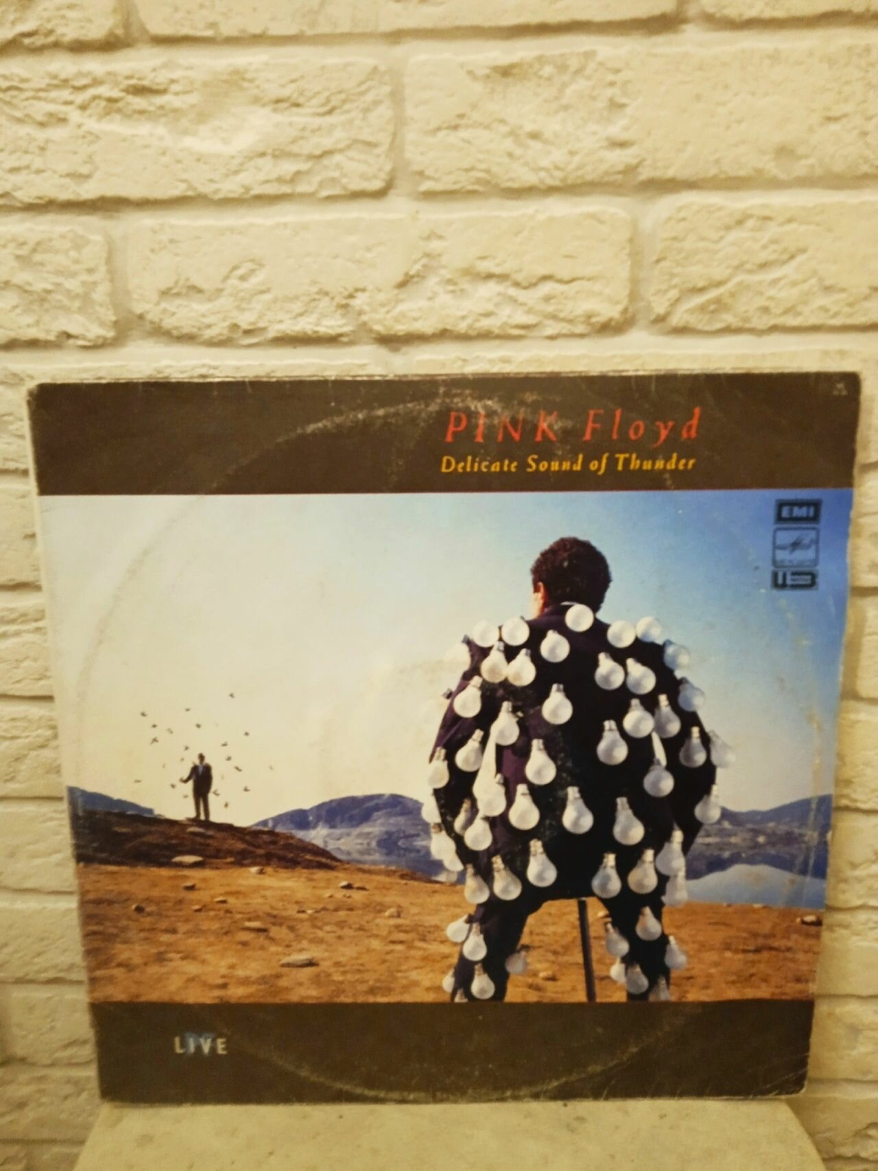 Виниловая пластинка Pink Floyd - Delicate Sound Of Thunder (2LP)