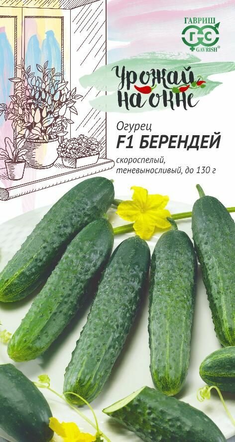 Семена Огурец Берендей F1 10 шт. серия Урожай на окне семена огурца огурец Берендей урожай на окне