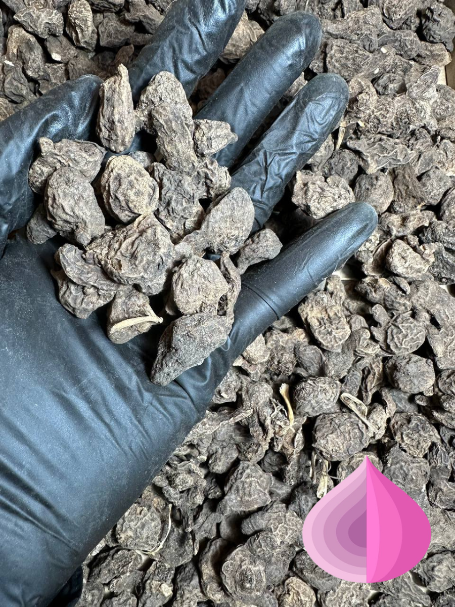 Клубни цветов, bulbs servise, Анемоны Де Каен смесь окрасок (5 штук)