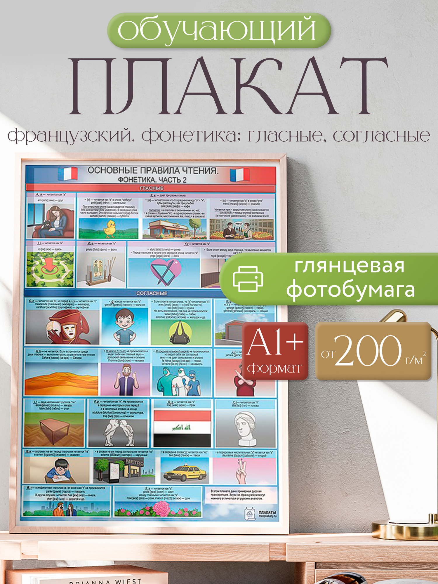 Обучающий плакат "Французский. Фонетика: Гласные, Согласные", размер А1+, глянцевая фотобумага от 200г/м2