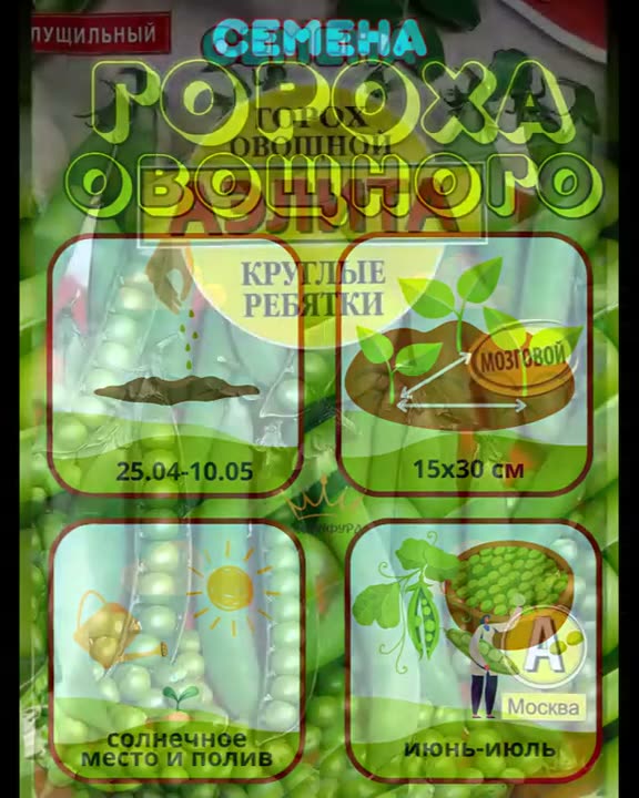 Семена гороха миланфурд "Круглые ребята", однолетние, для открытого грунта, 25г — фото 1