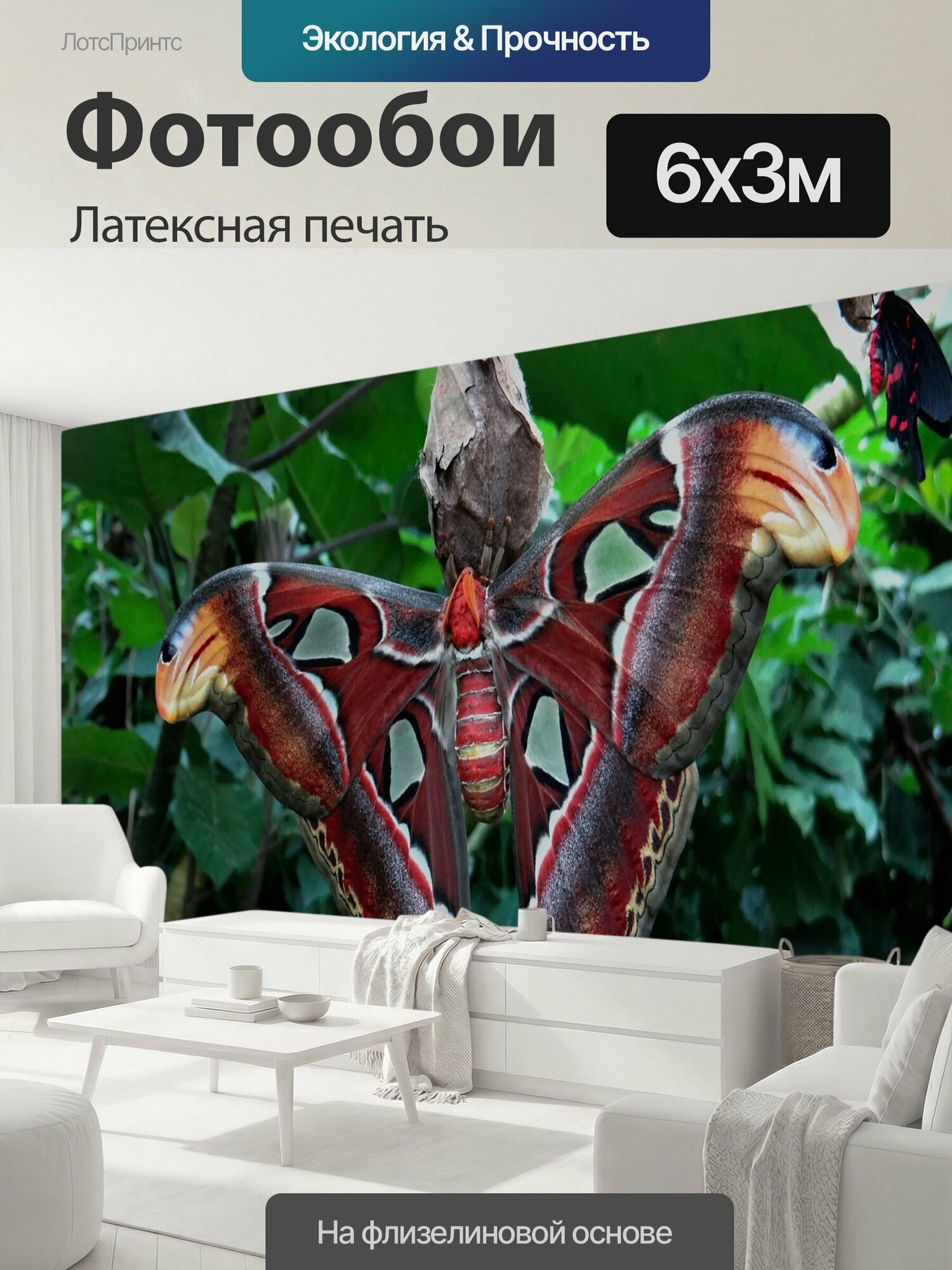 Фотообои моющиеся ударопрочные "Атлас бабочек, павлиноглазка атлас, желтый коричневый" 600x300 см. латексная печать