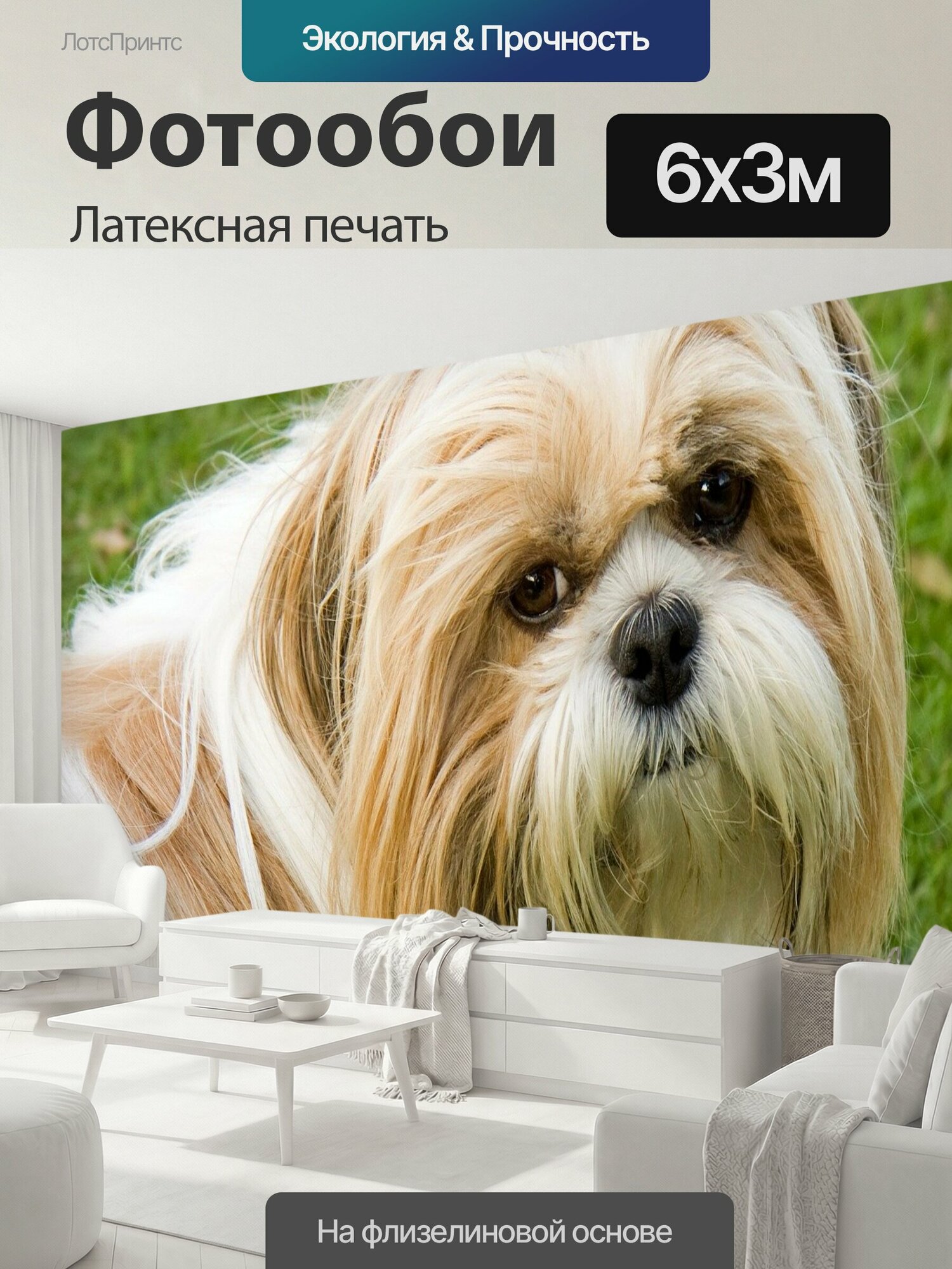 Фотообои моющиеся ударопрочные "Собака, ши тцу, милый" 600x300 см. латексная печать