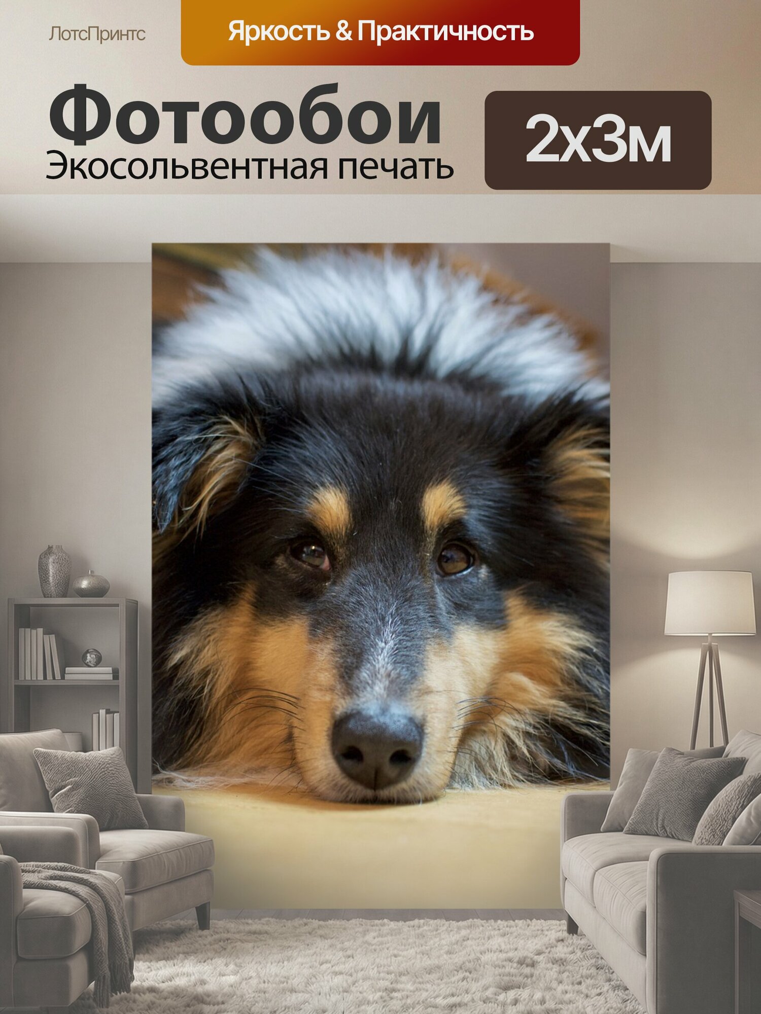 Фотообои "Шелти, собака, домашний питомец" 200x300 см. экосольвентная печать