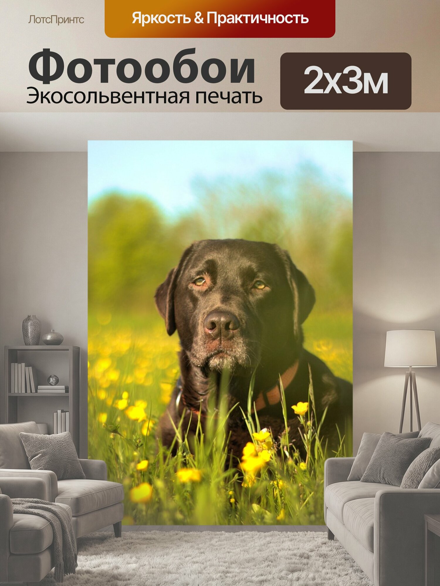 Фотообои "Лабрадор, собака, цветочный луг" 200x300 см. экосольвентная печать