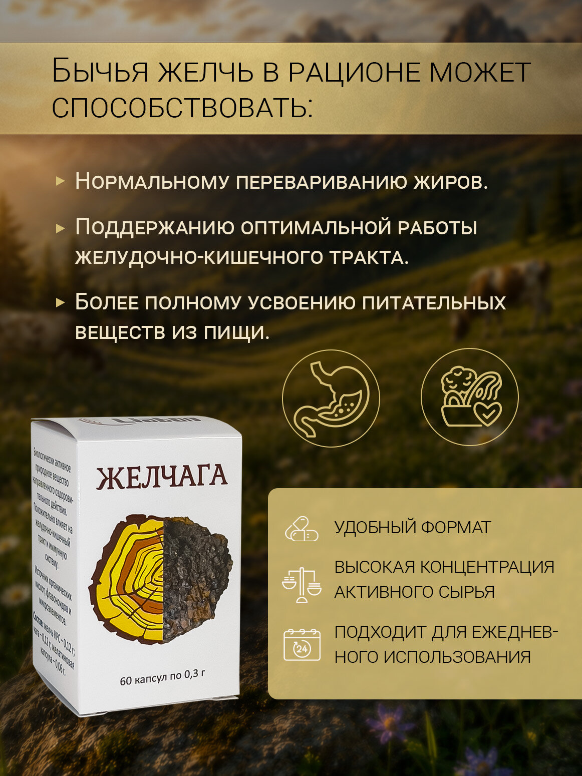 Бычья желчь и гриб Чага, добавка пищевая, 60 капсул — фото 1