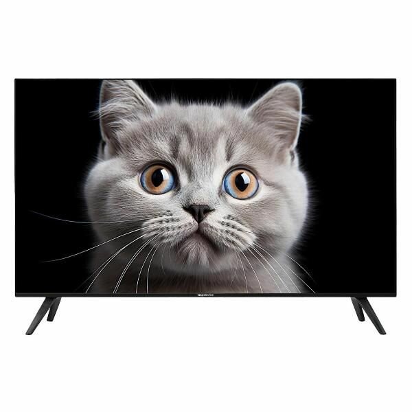 Телевизор topdevice TDTV65ES13U_BK