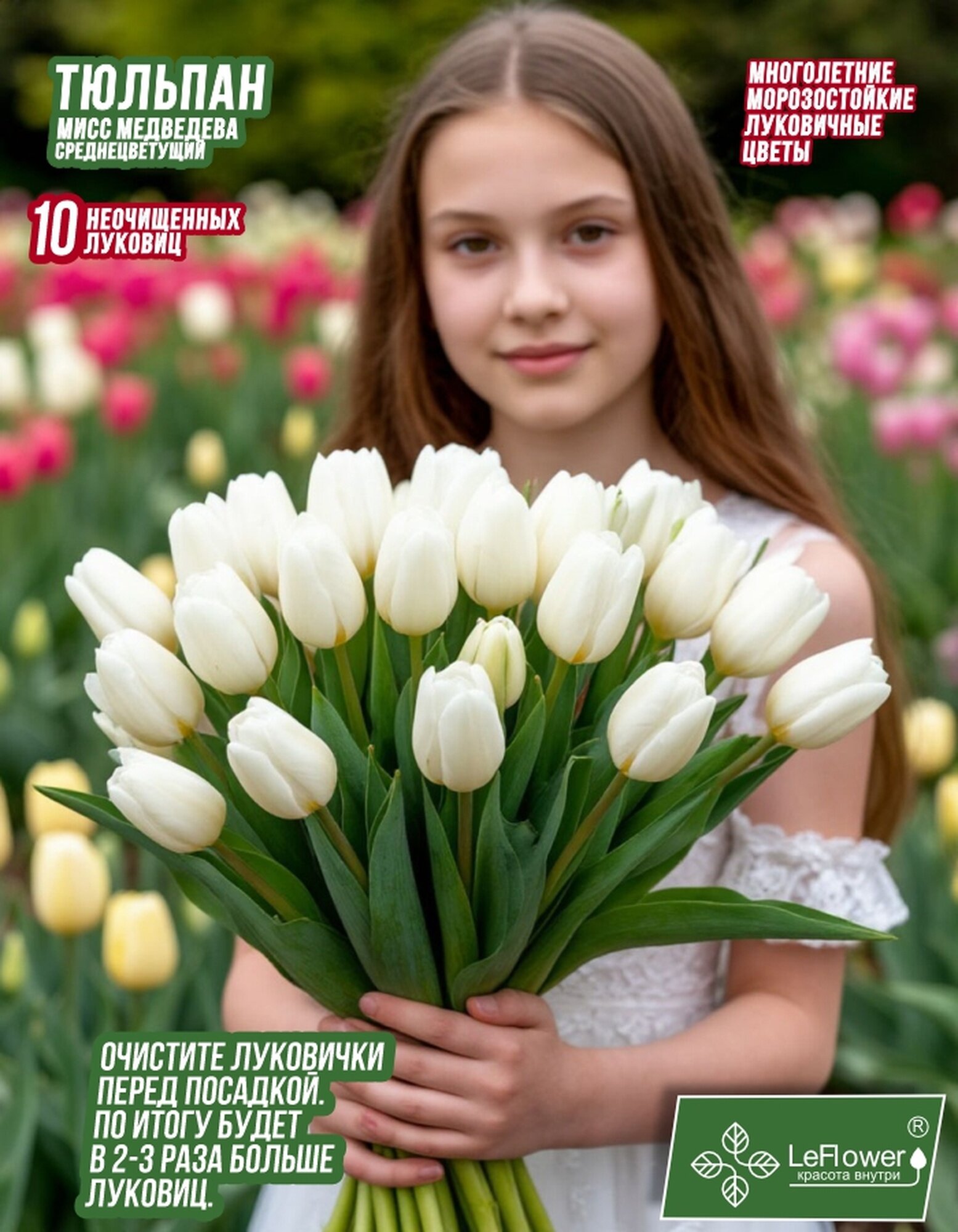 Тюльпан LeFlower Мисс Медведева, многолетние, упаковка 10 штук, 1 упаковка