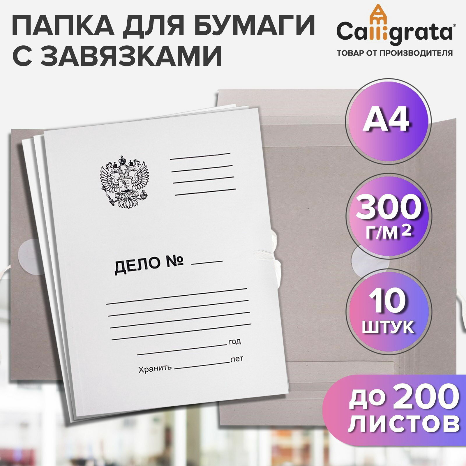 Набор папок для бумаги с завязками Герб, 300 г/?2, картон немелованный, до 200 листов, 10 штук