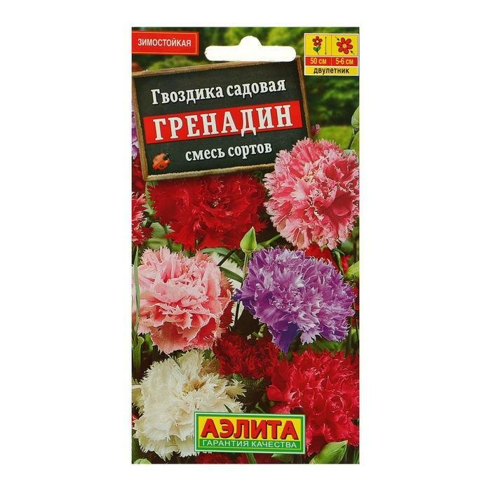 Семена цветов Гвоздика садовая 'Гренадин', смесь окрасок, Дв, 0,1 г