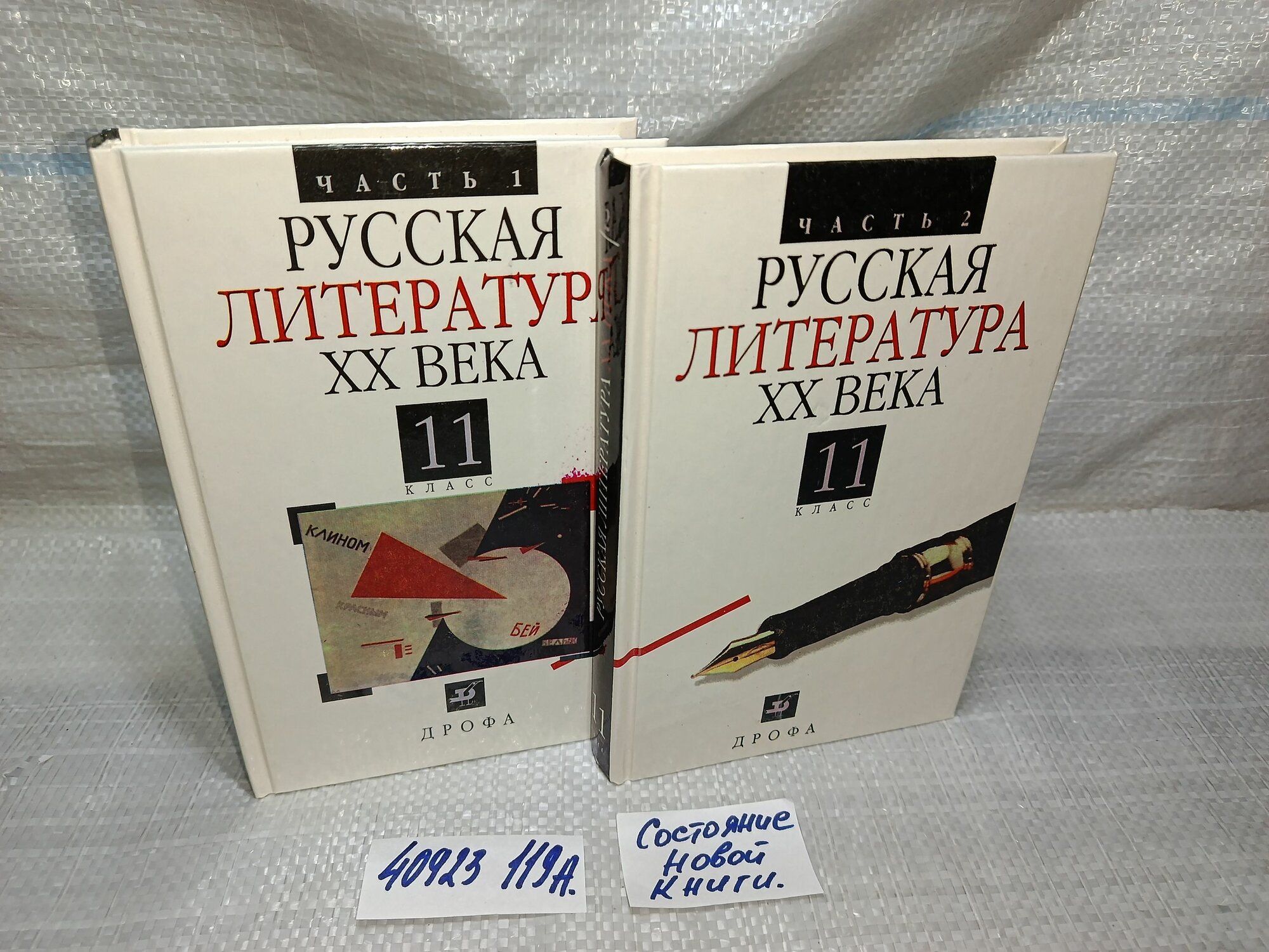 В. В. Агеносов , Русская литература XX века. 11 класс (Комплект из 2 книг)