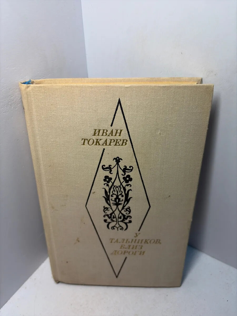 Книга Иван Токарев У тальников близ дороги А193