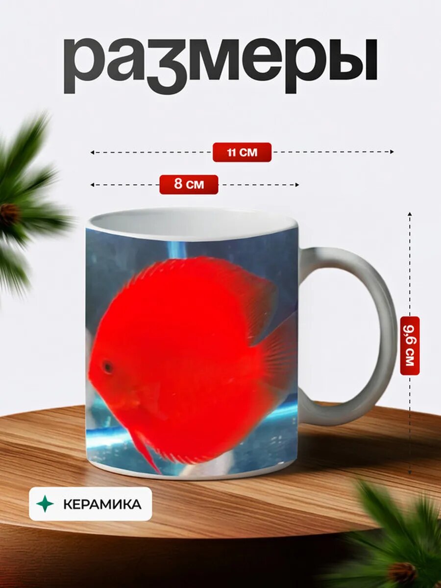 Кружка Дискус рыбка 32, — фото 1