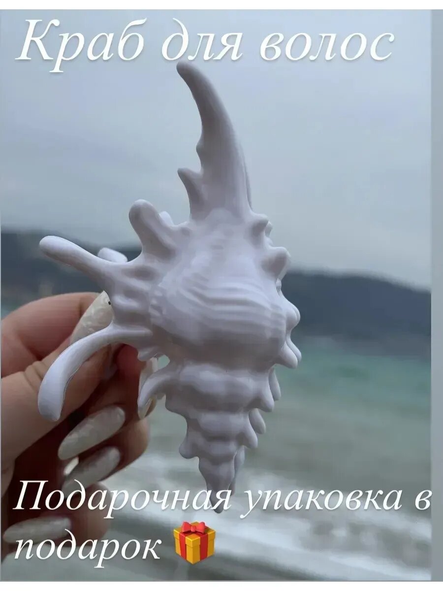 Крабик ракушка — фото 1