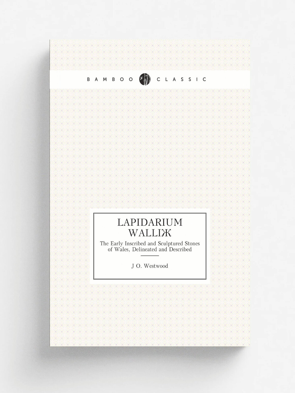 Lapidarium Walli. The Early Inscribed and Sculptured Stones of Wales, Delineated and Described
