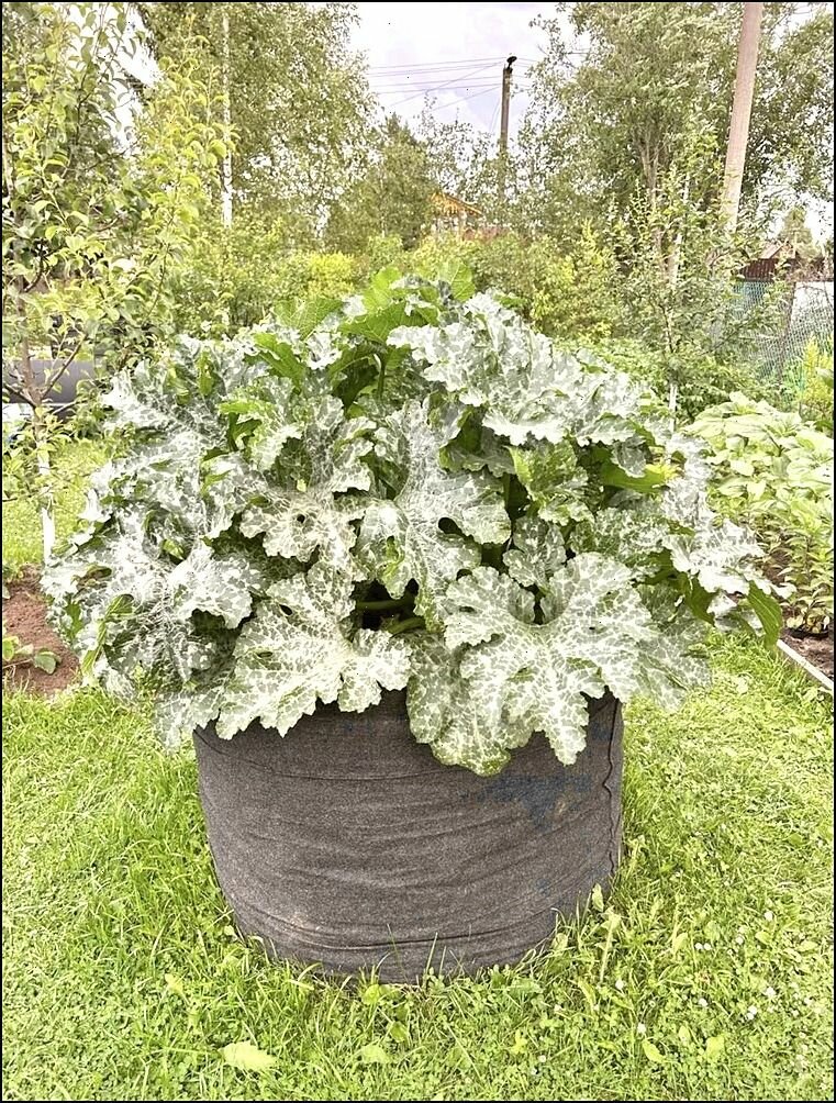 Текстильный компостер SmartPot Lux 750 литров черный для улицы