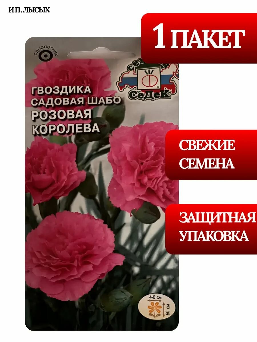 Семена Гвоздика "Розовая Королева"