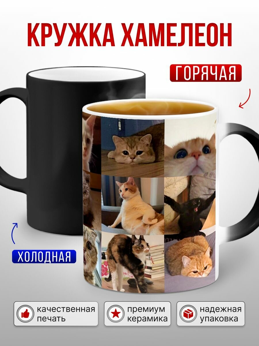 Кружка хамелеон с мемами коты, 330 мл, 1 шт.